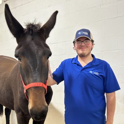 Meet our Staff – AVS Equine Medical and Surgical Hospital | Tallahassee FL